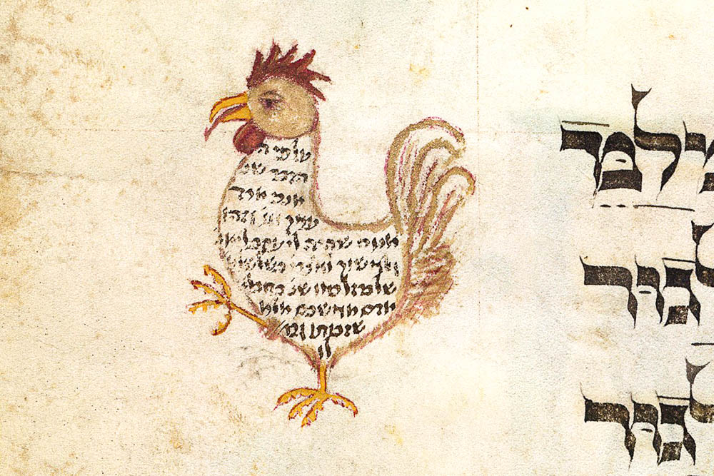 Discovering the Art of Micrography