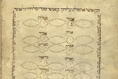 Discovering the Art of Micrography