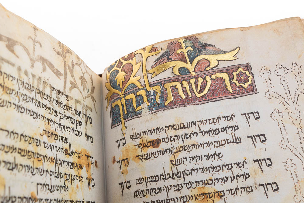 Discovering the Art of Micrography