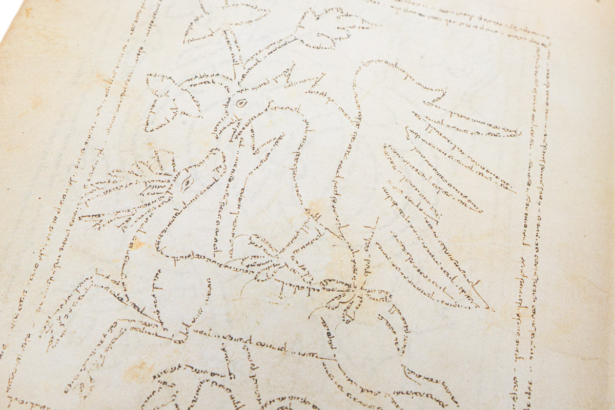 Discovering the Art of Micrography