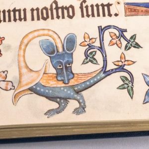 The Luttrell Psalter: A Treasure of Medieval Imagination