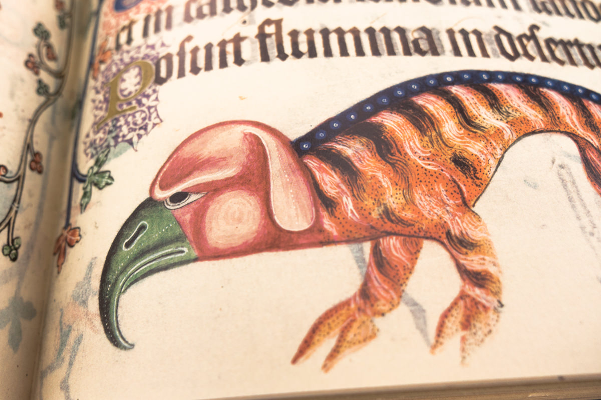 The Luttrell Psalter: A Treasure of Medieval Imagination