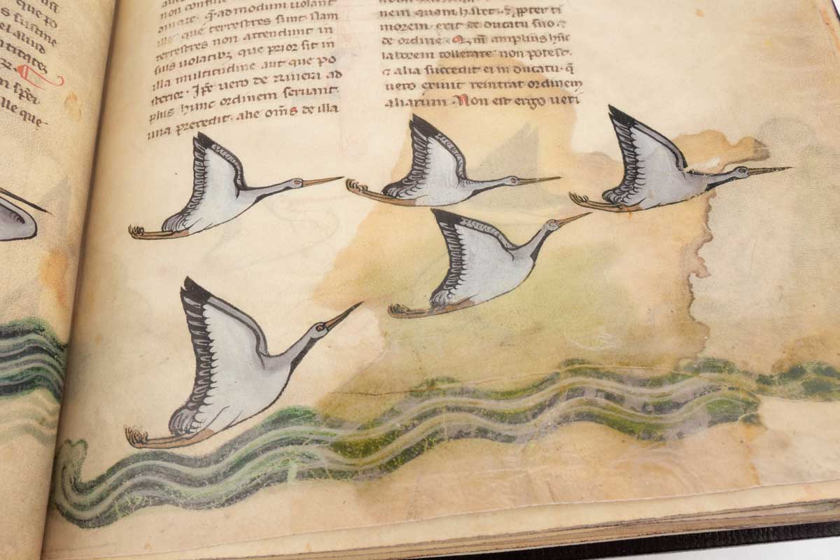 On the Art of Hunting with Birds: a treatise by the Holy Roman Emperor ...