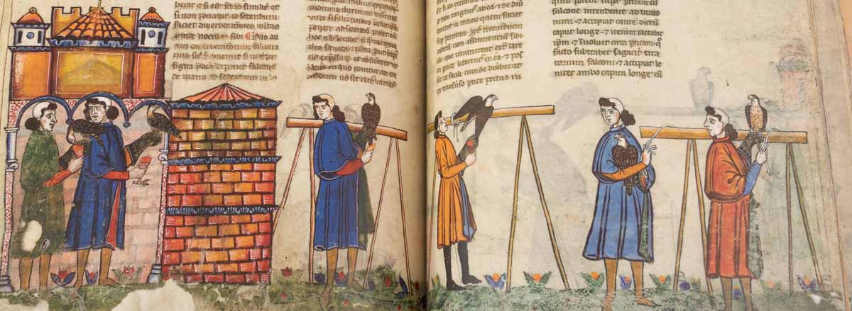 On the Art of Hunting with Birds: a treatise by the Holy Roman Emperor ...