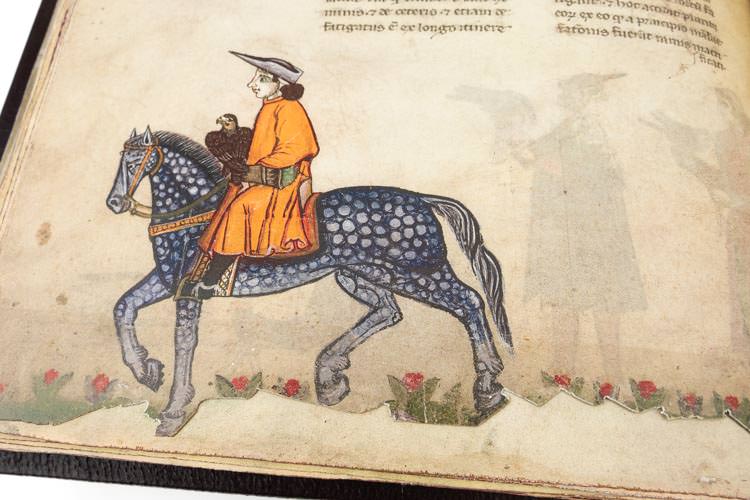 On the Art of Hunting with Birds: a treatise by the Holy Roman Emperor ...