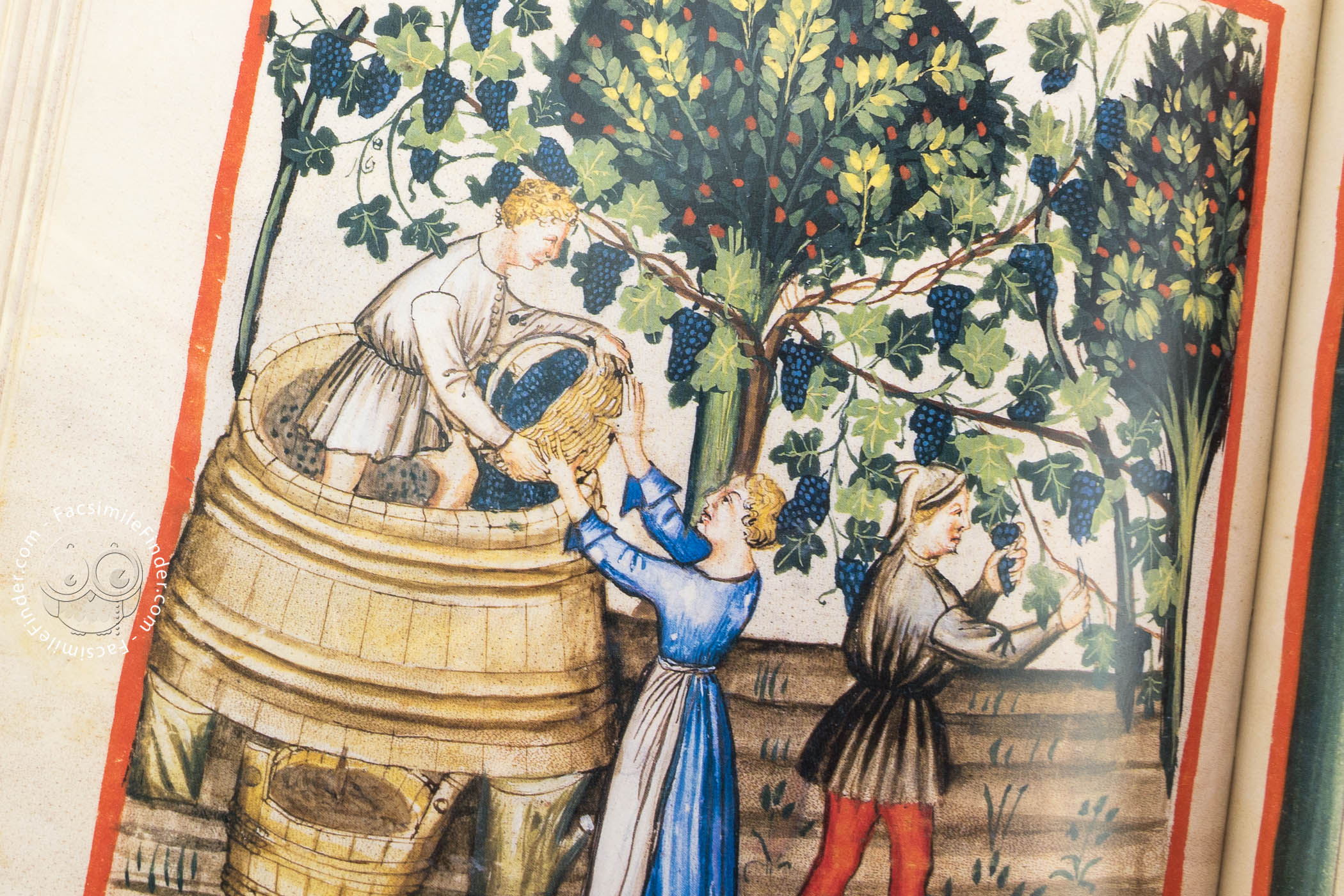 Tacuinum Sanitatis in Medicina « Facsimile edition