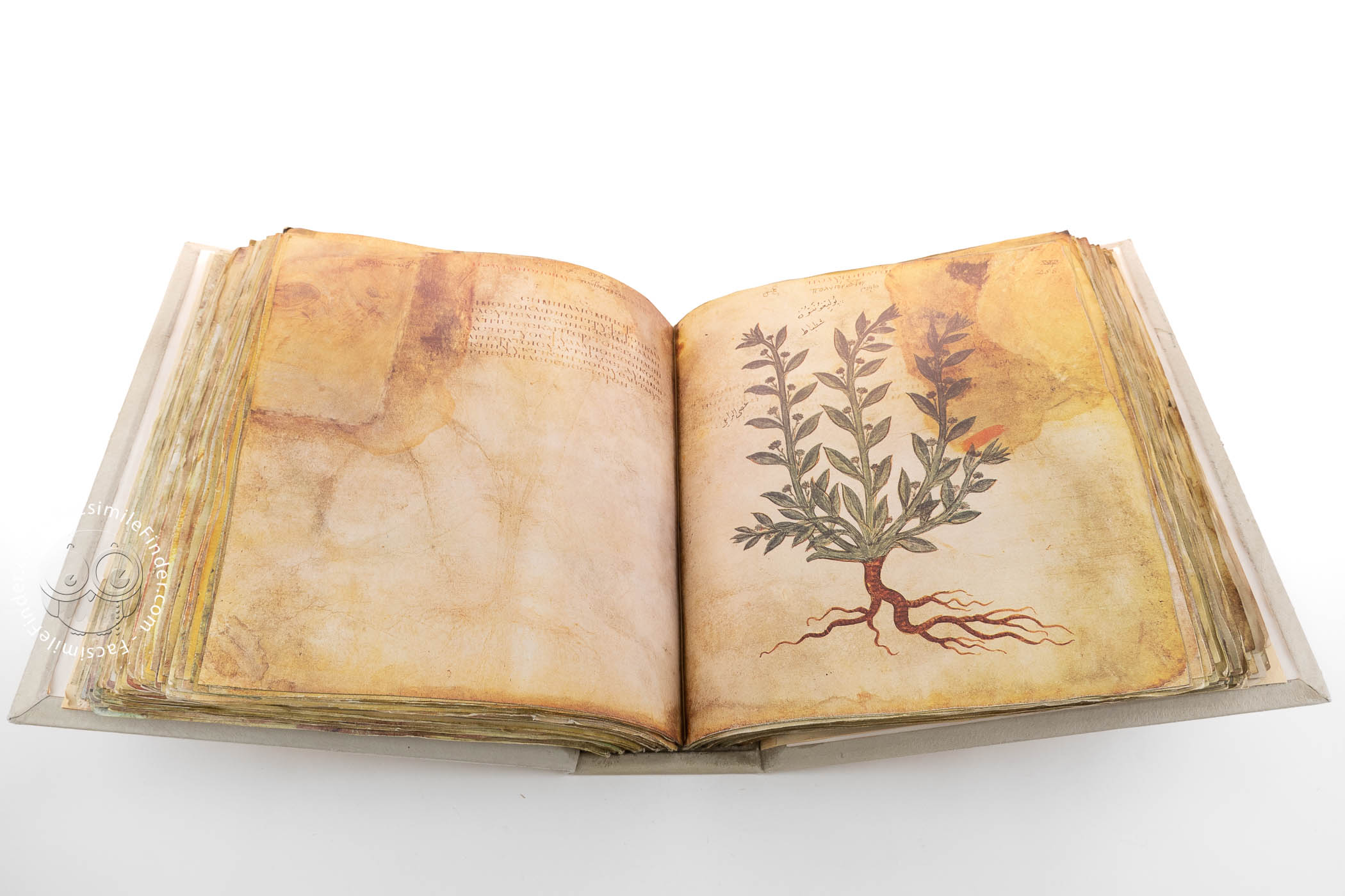 Vienna Dioscorides « Facsimile edition