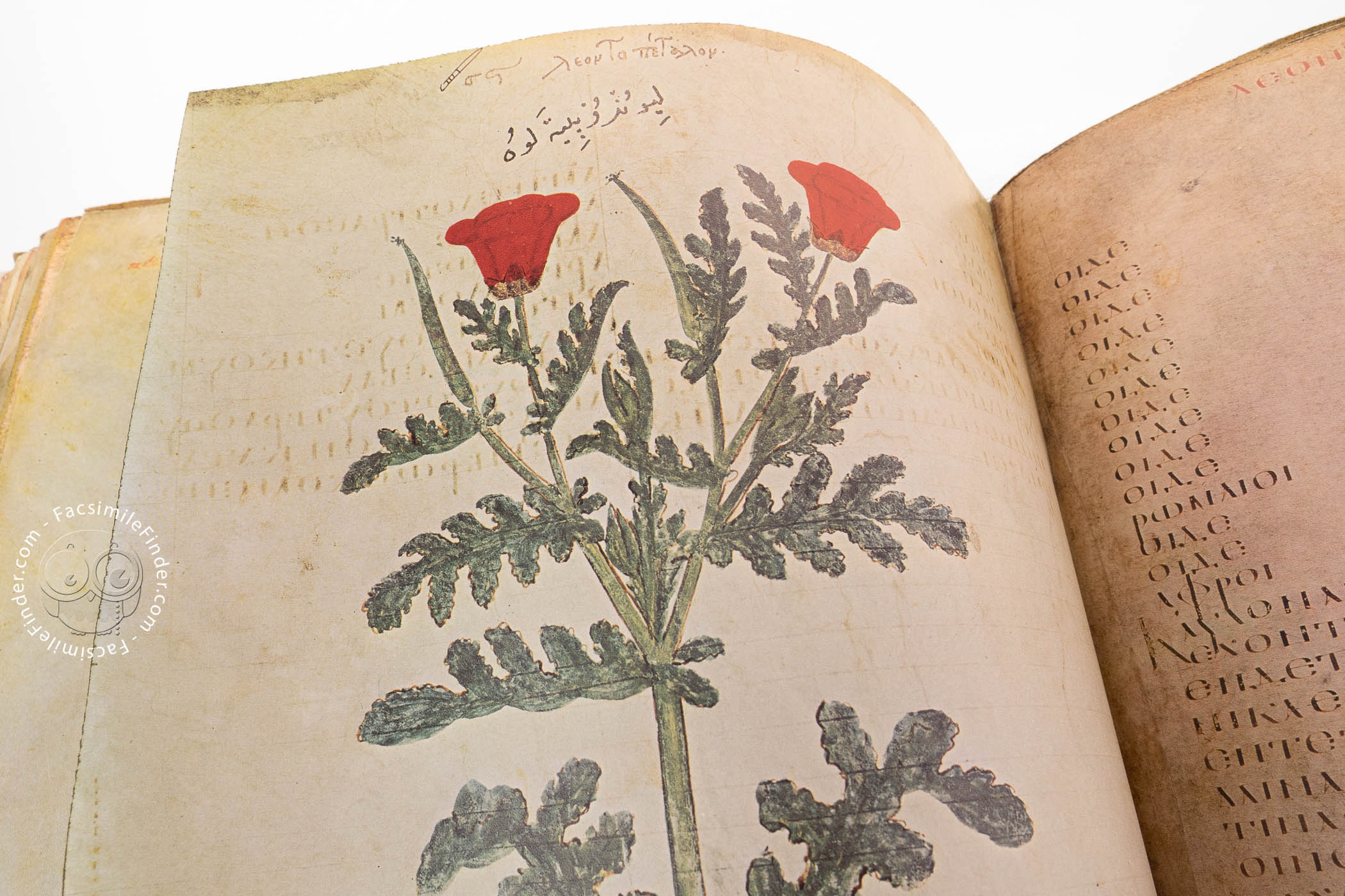 Vienna Dioscorides « Facsimile edition