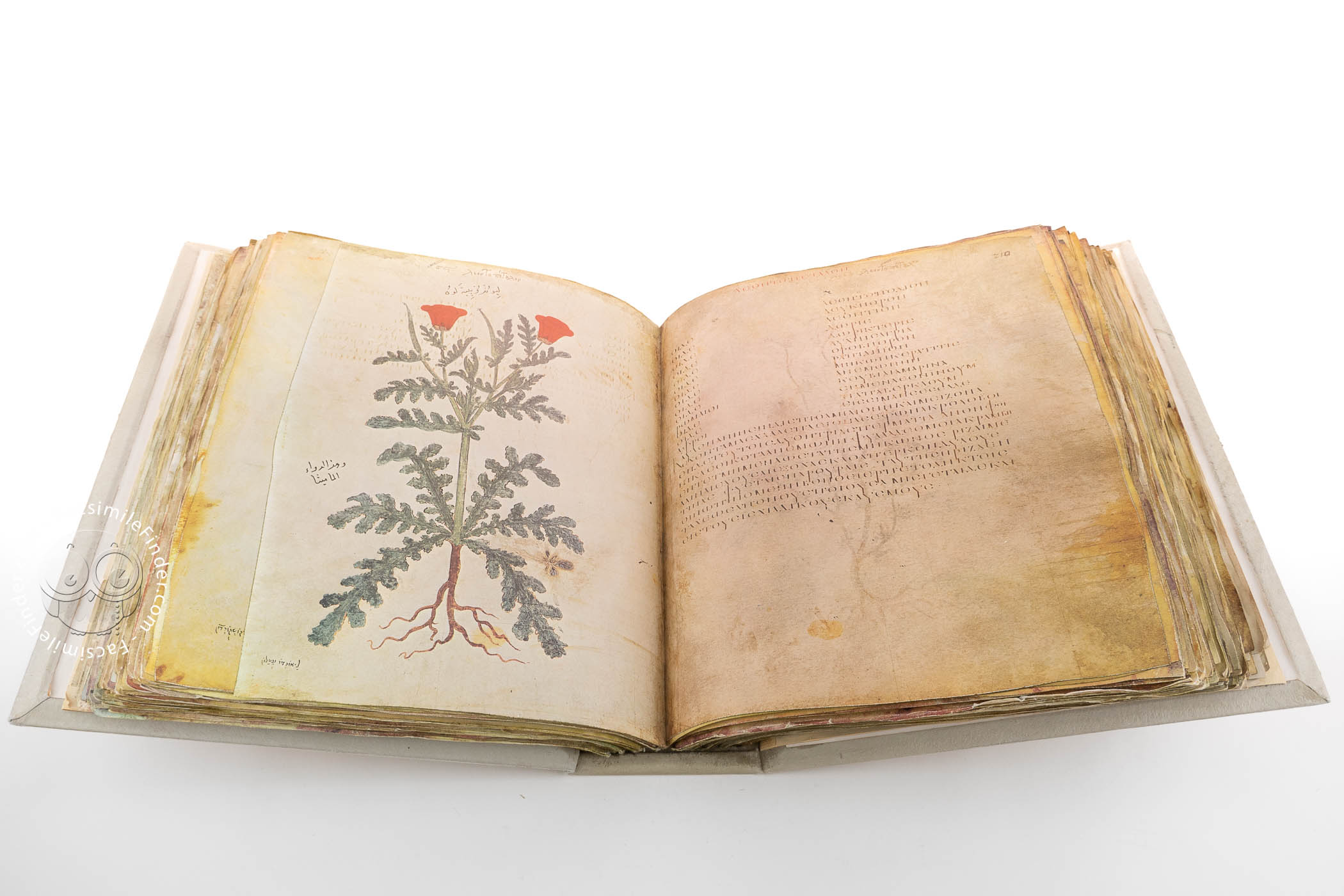 Vienna Dioscorides « Facsimile edition