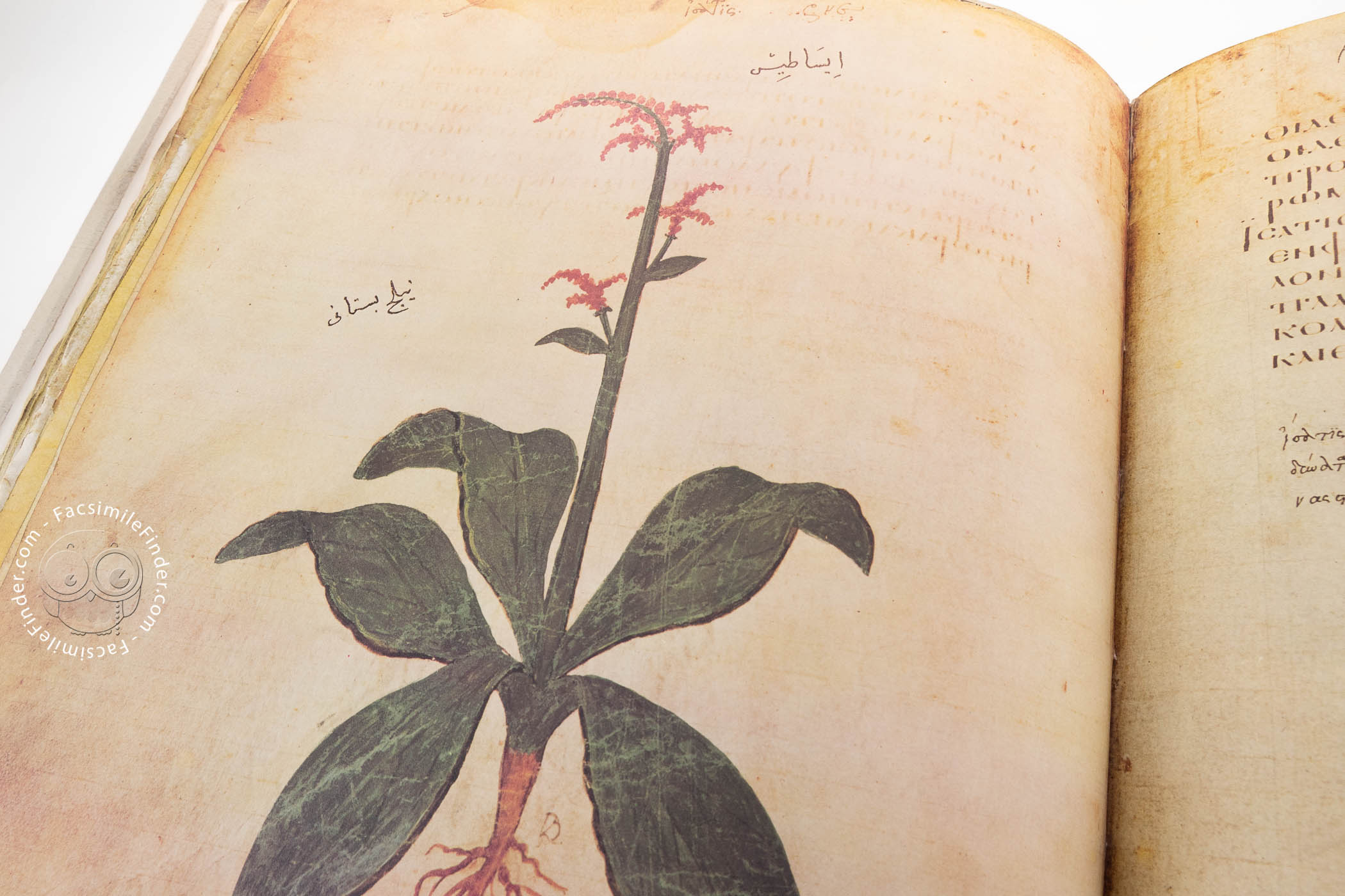 Vienna Dioscorides « Facsimile edition